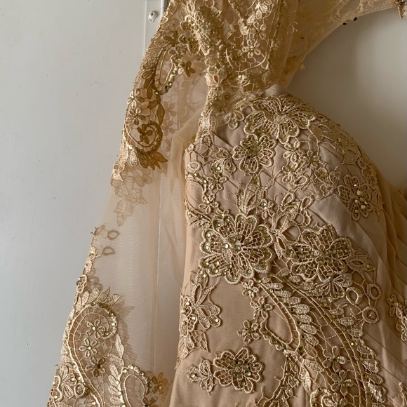 Terani Couture | Dresses | Nwt 548 Vm Collection Vneckline Beaded Lace ...